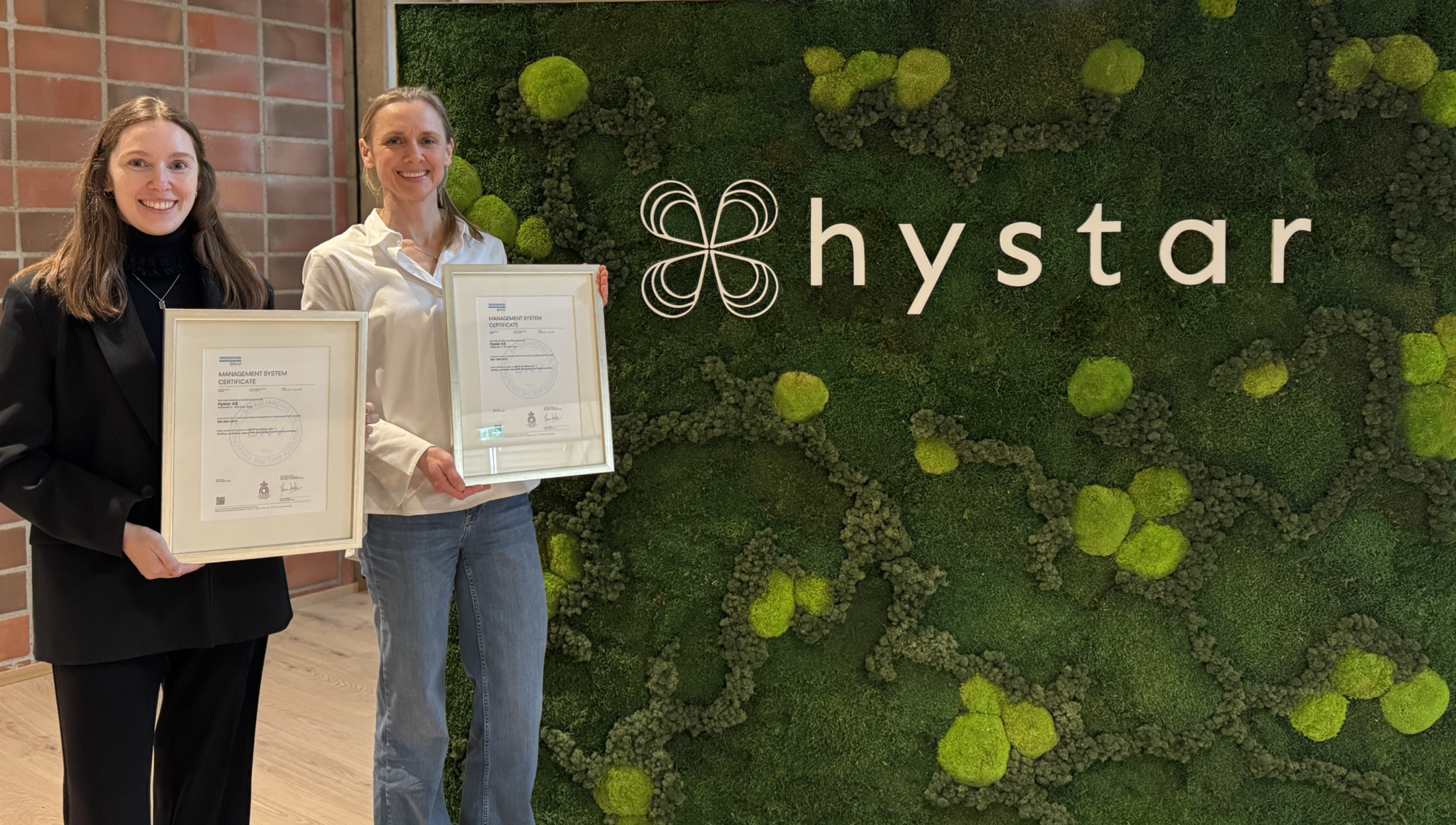 about our company - Hystar